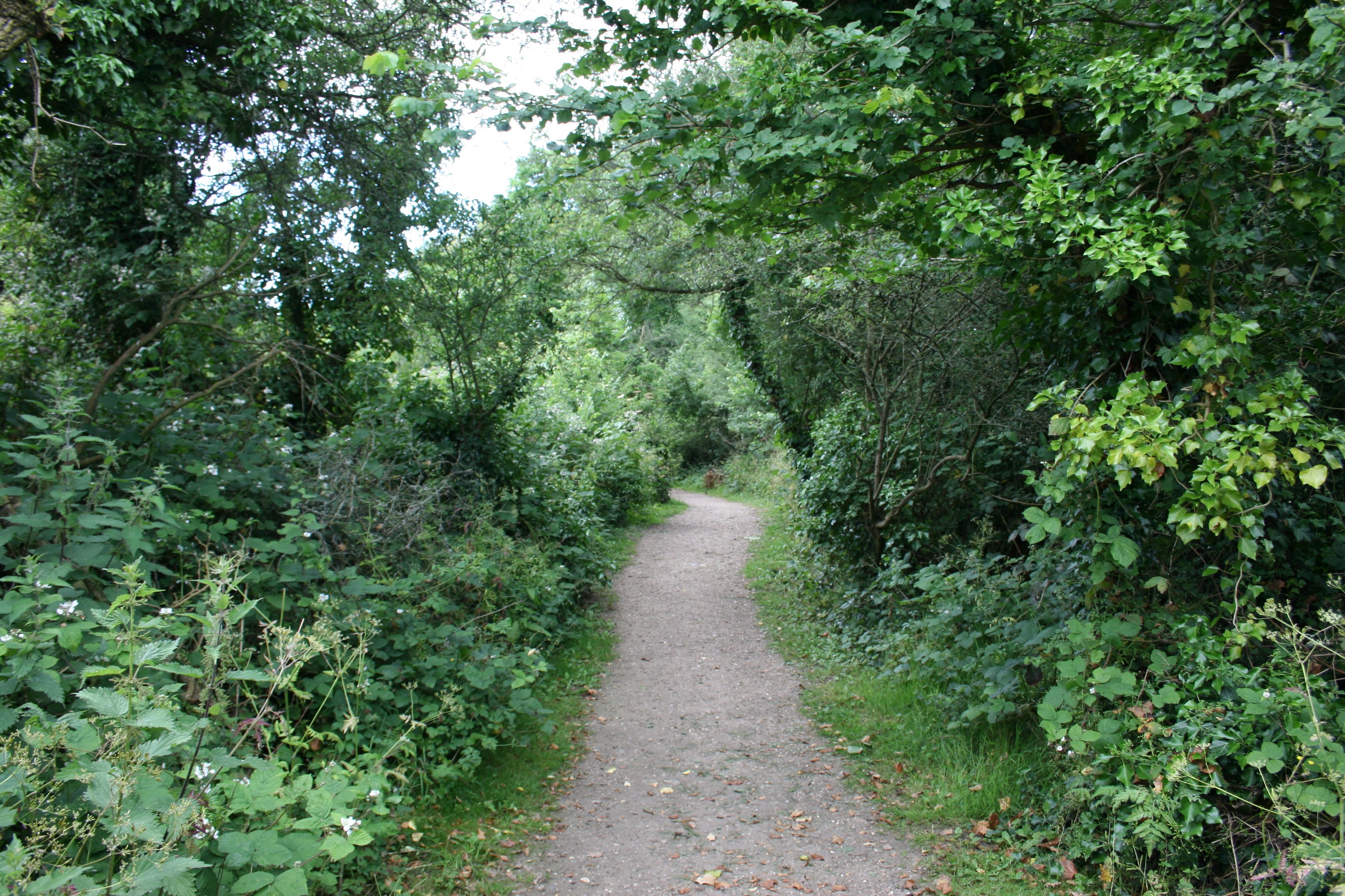 Locations Hub - Broad Colney Lakes