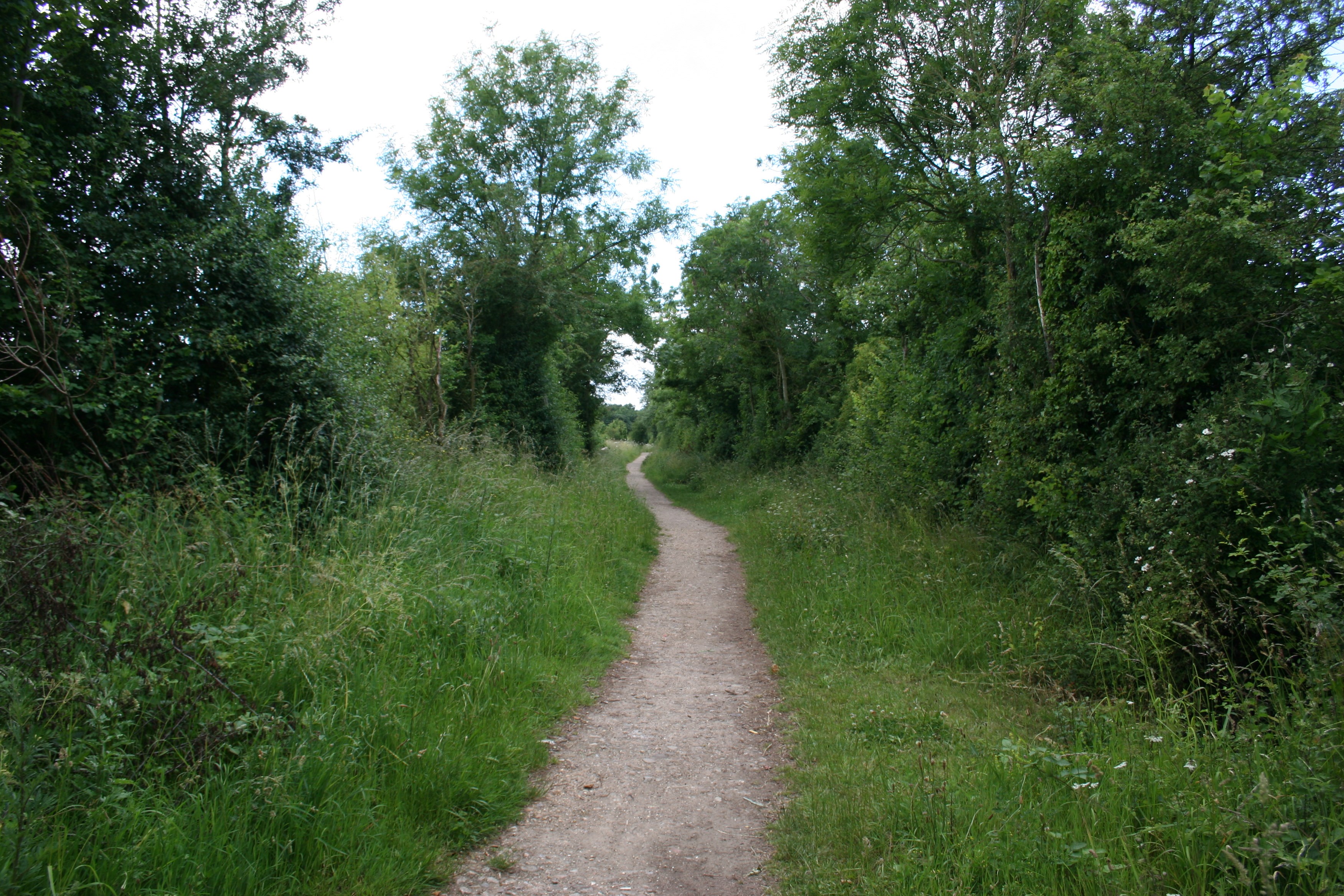 Locations Hub - Broad Colney Lakes