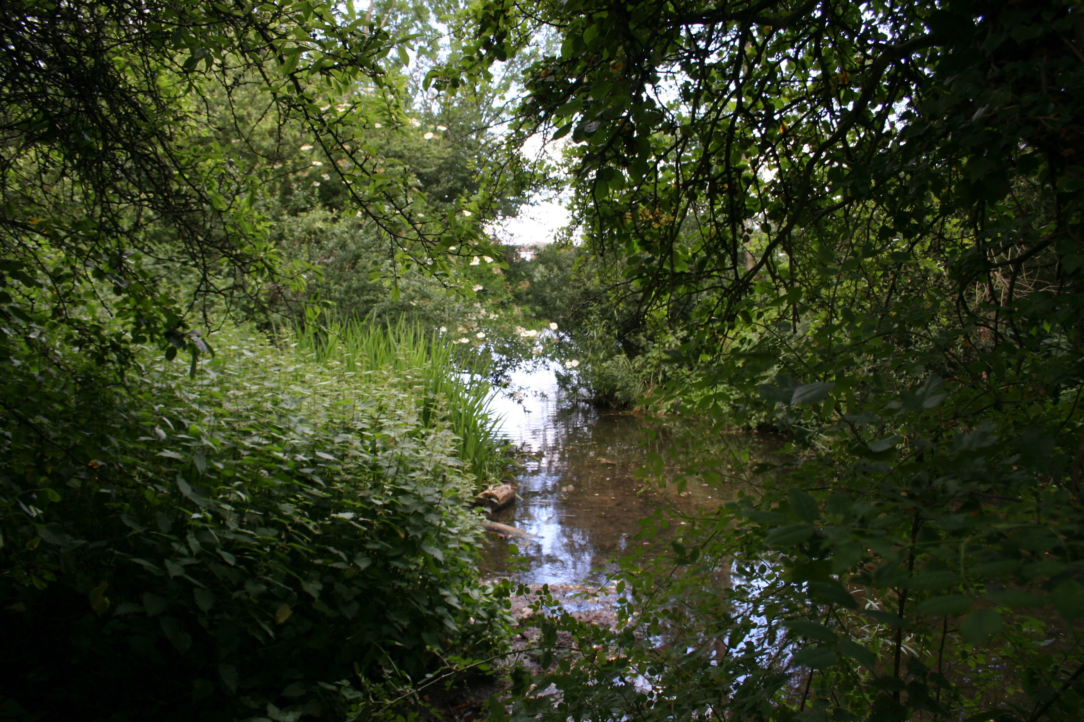 Locations Hub - Broad Colney Lakes